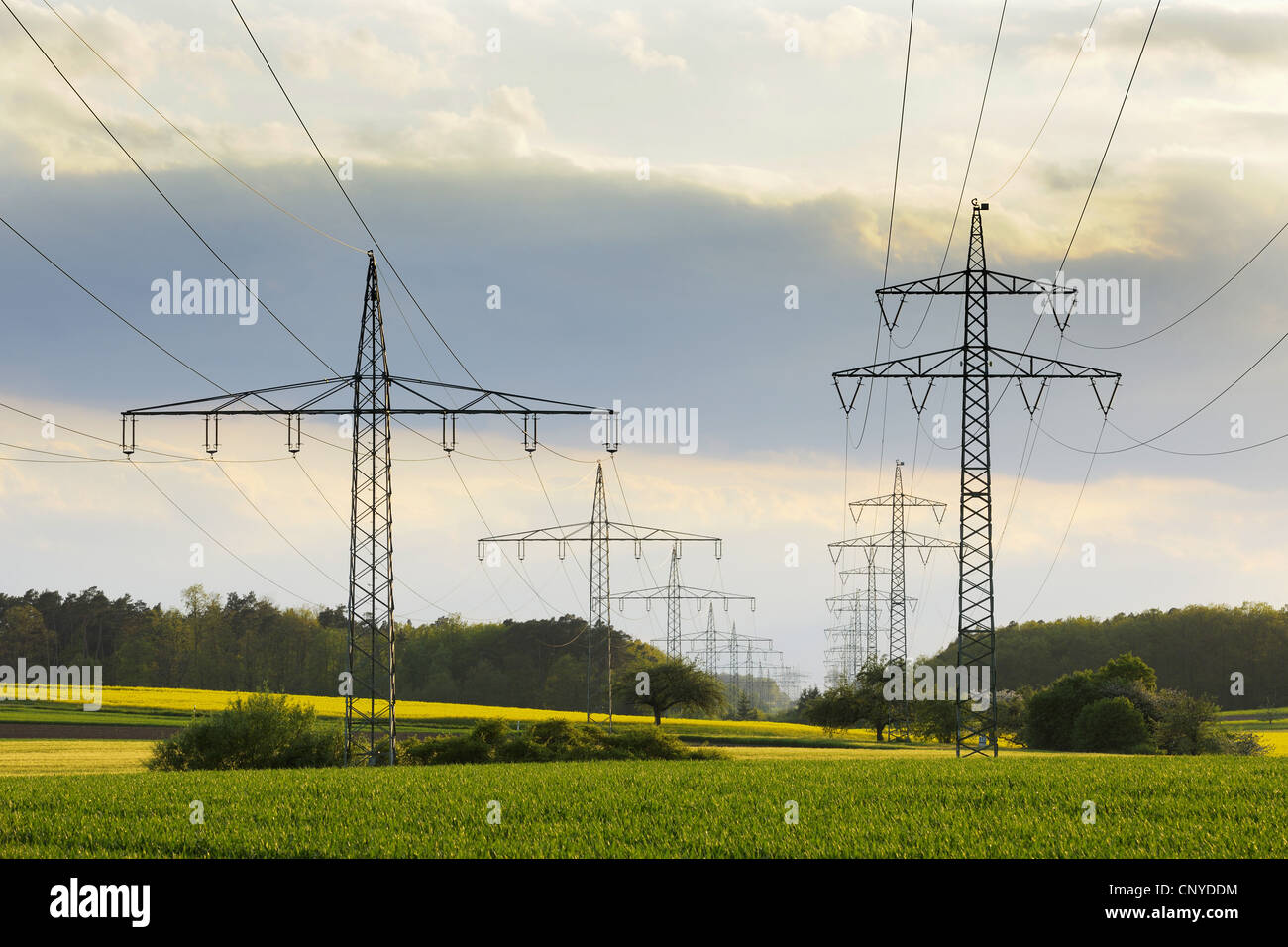 Power poles in the countryside hi-res stock photography and images - Alamy