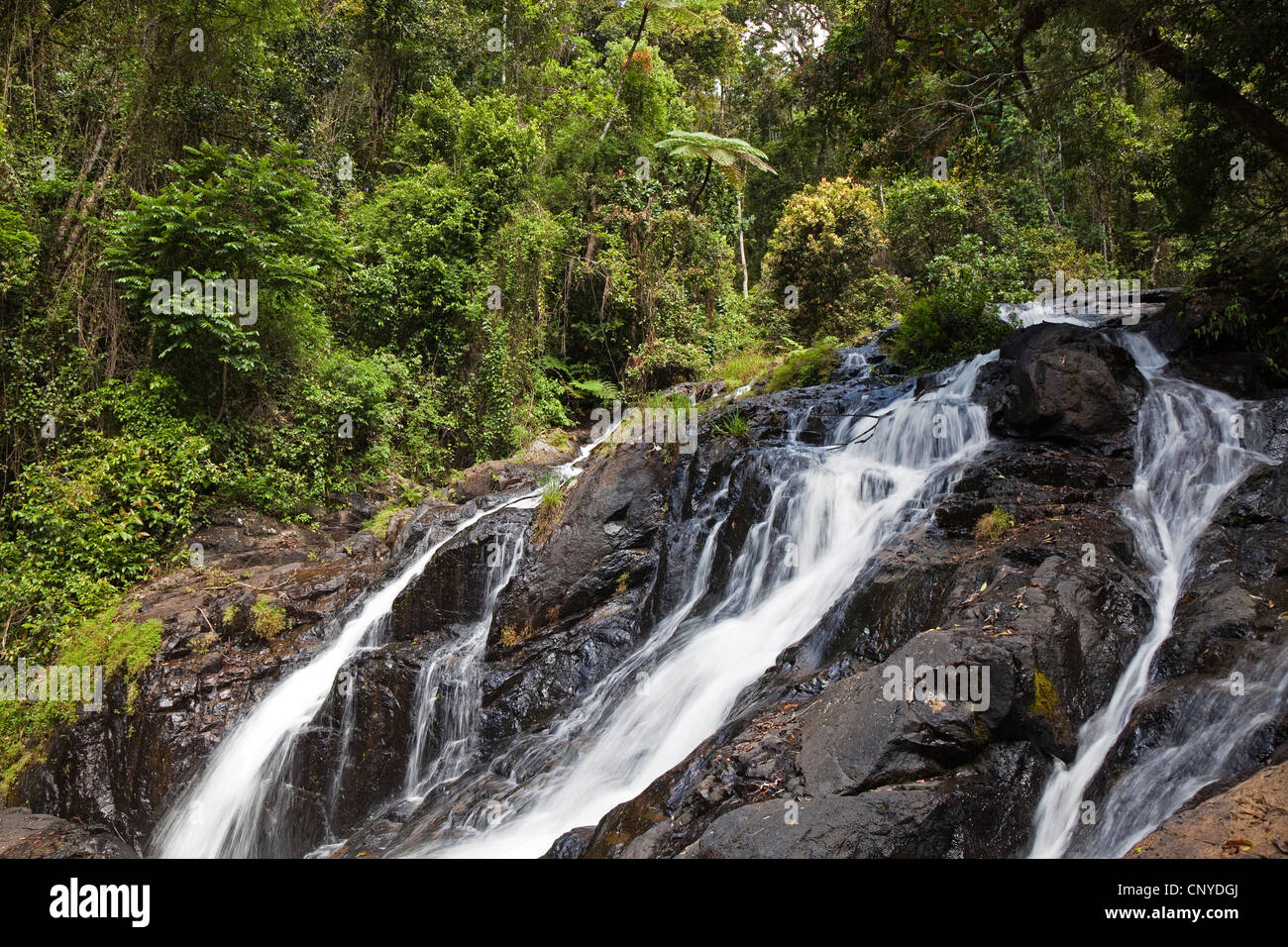 Dinner Falls, Australia, Queensland, Atherton Tablelands Stock Photo ...