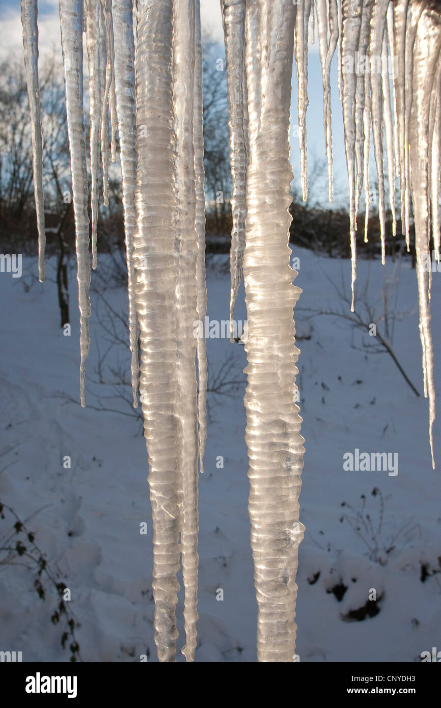 Icicle sculptures hi-res stock photography and images - Alamy