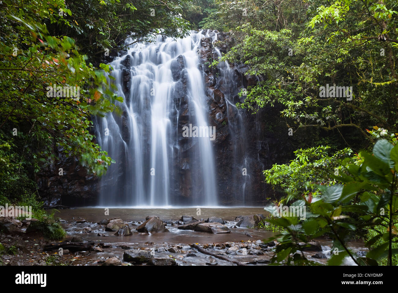 Ellinjaa Falls, Australia, Queensland, Atherton Tablelands Stock Photo ...