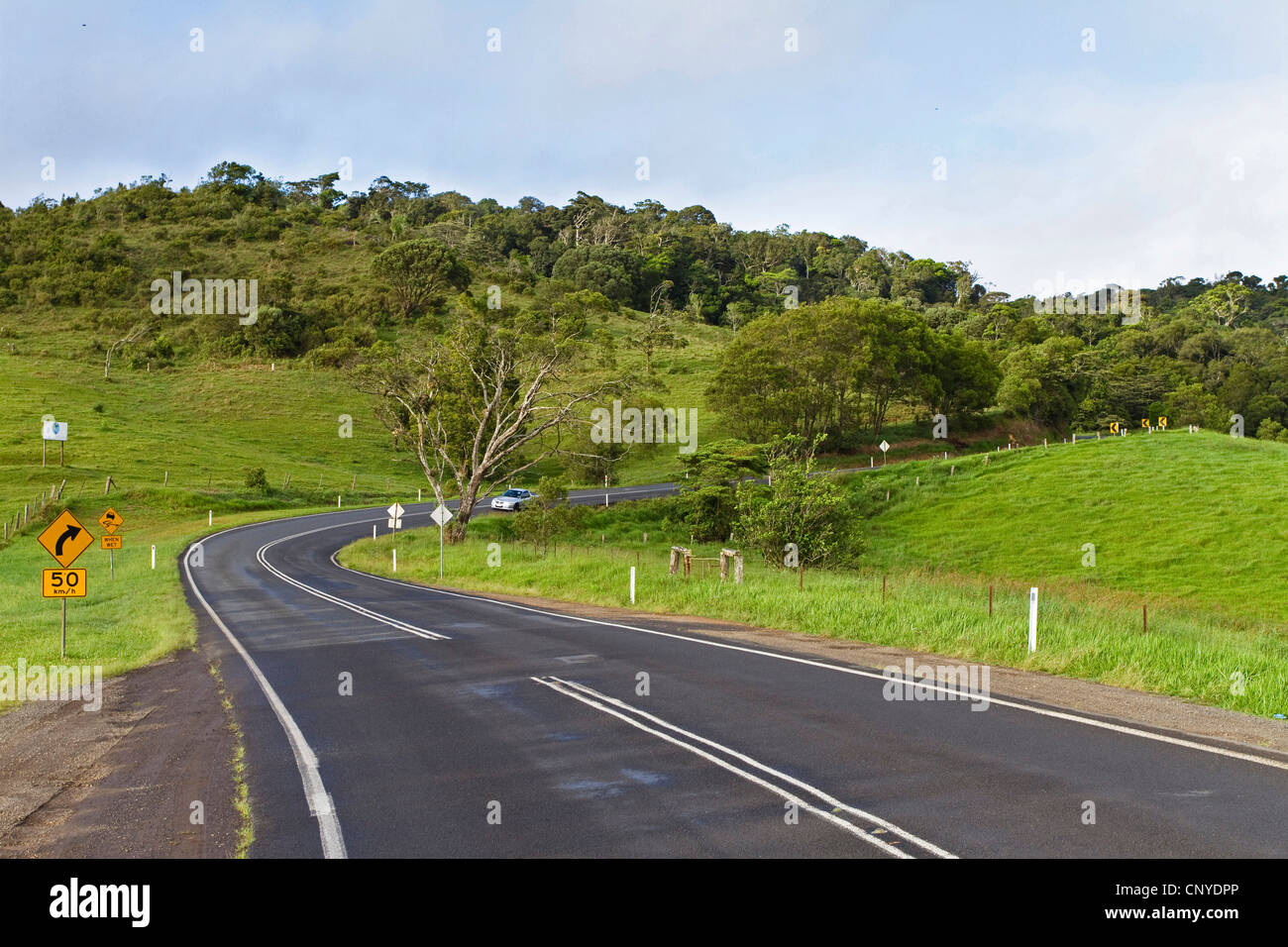 country road in undulating hills of the Atherton Tablelands, Australia ...