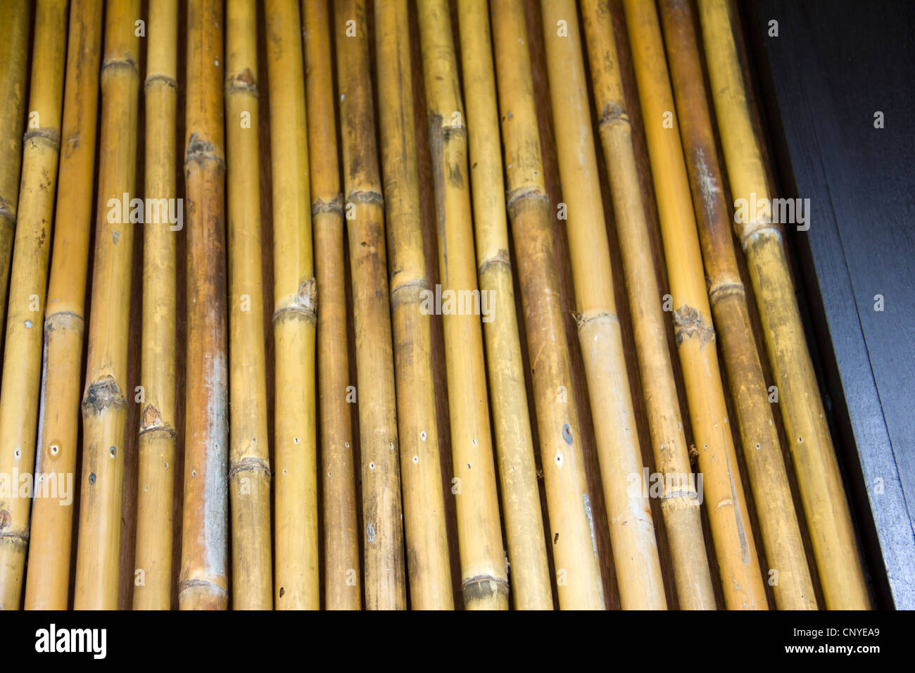 Bamboo Screen - Thailand Stock Photo - Alamy