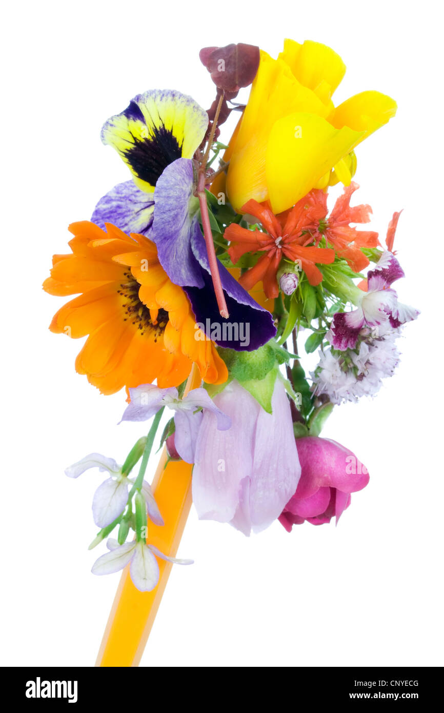 Floral f ice cream from flowers concept isolated Stock Photo - Alamy