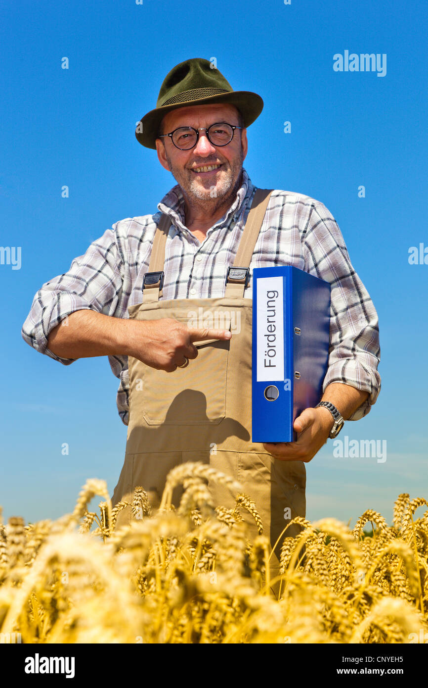 bread wheat, cultivated wheat (Triticum aestivum), symbol picture ...