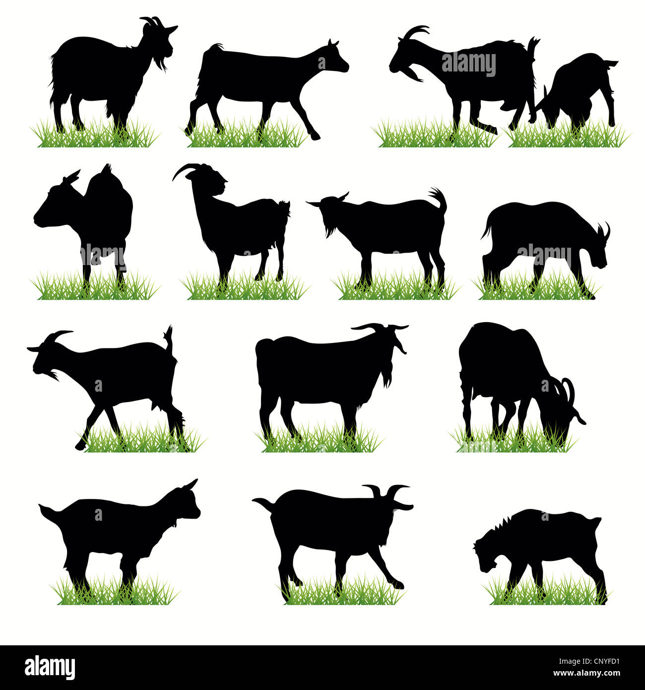 Goat leather Cut Out Stock Images & Pictures - Alamy