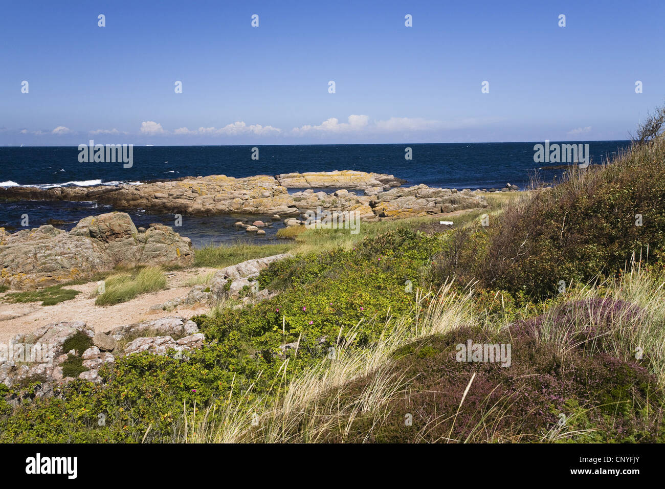 coastal landscape at the northern tip of the island, Denmark, Bornholm ...