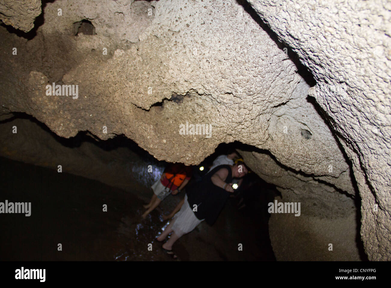 Caves on islands in Phang-Nga - Thailand Stock Photo - Alamy