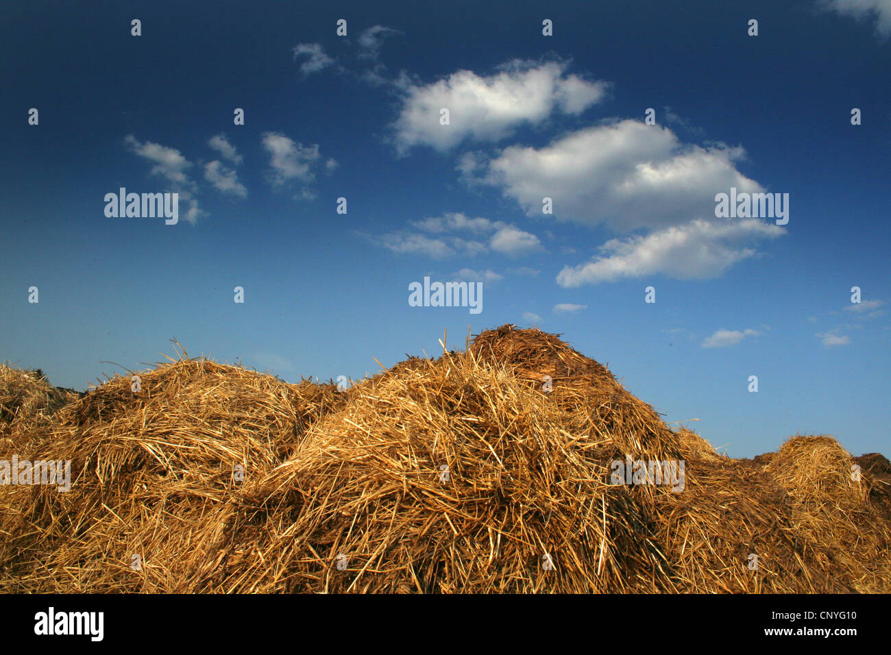 Straw on fields hi-res stock photography and images - Alamy
