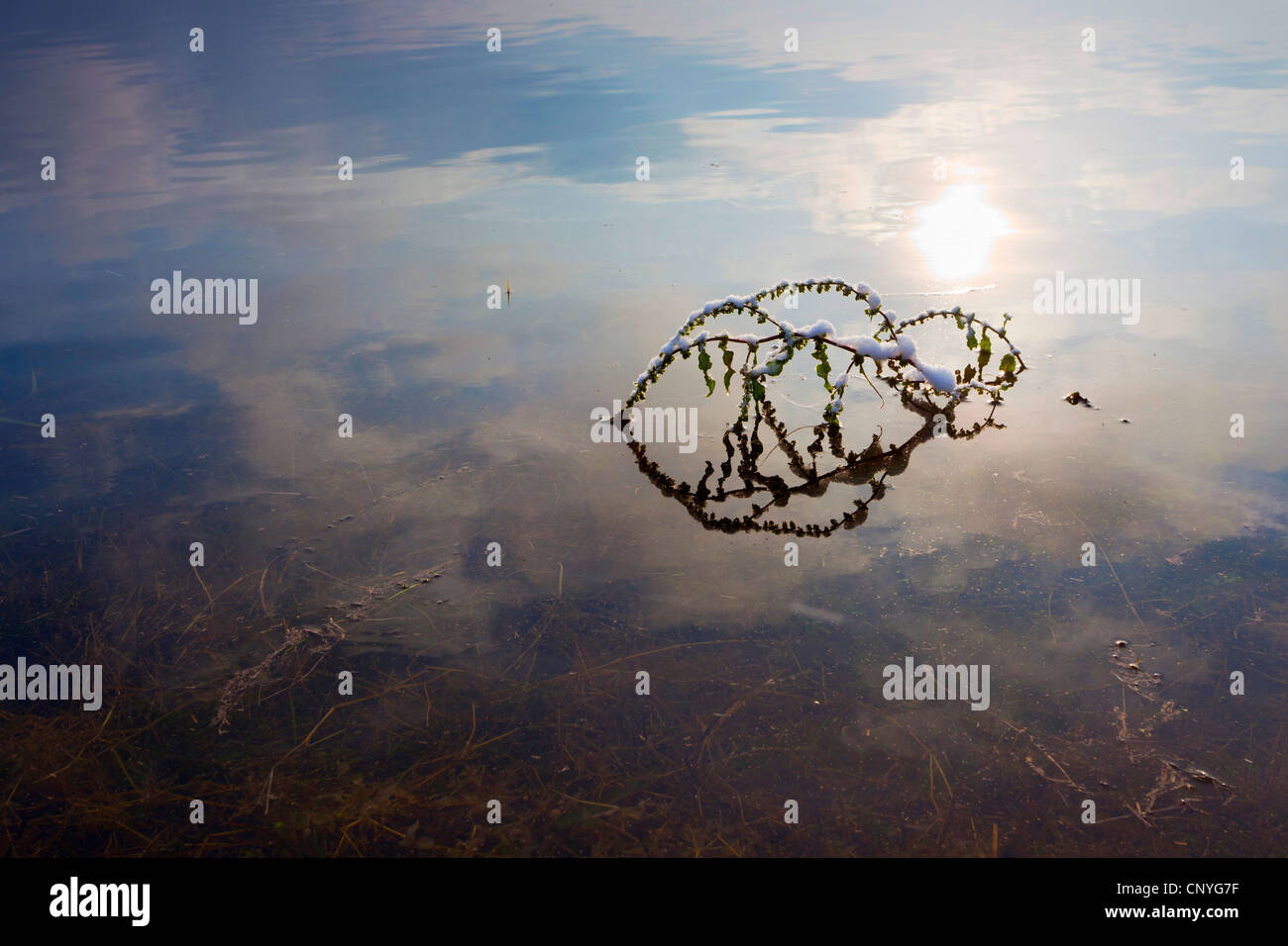 Smooth calm surface mirroring mirror hi-res stock photography and ...