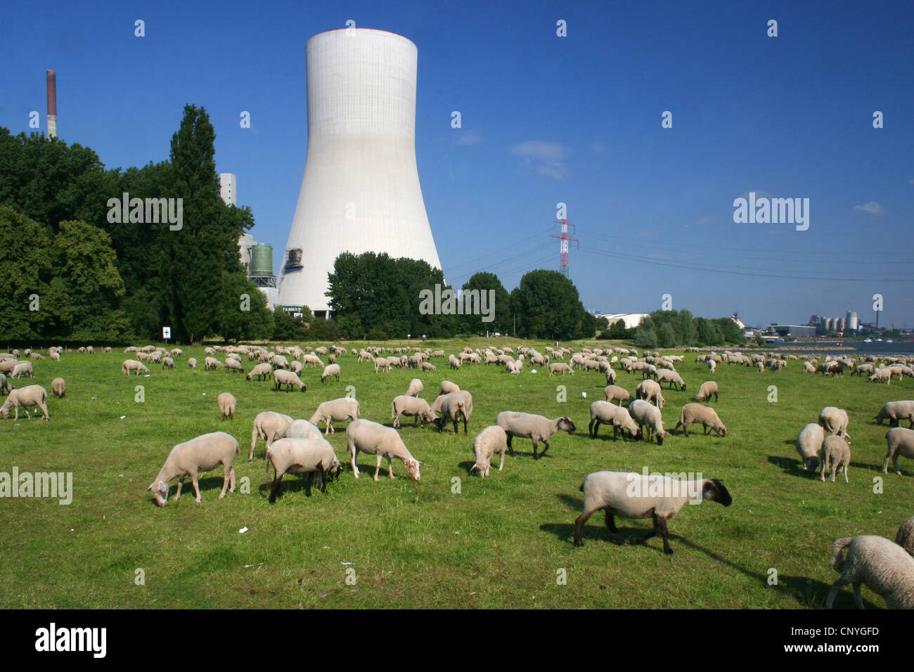 Coal power plants with trees hi-res stock photography and images - Alamy