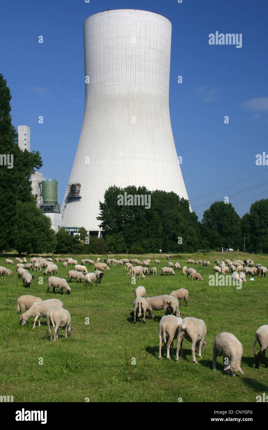 Coal power plants with trees hi-res stock photography and images - Alamy