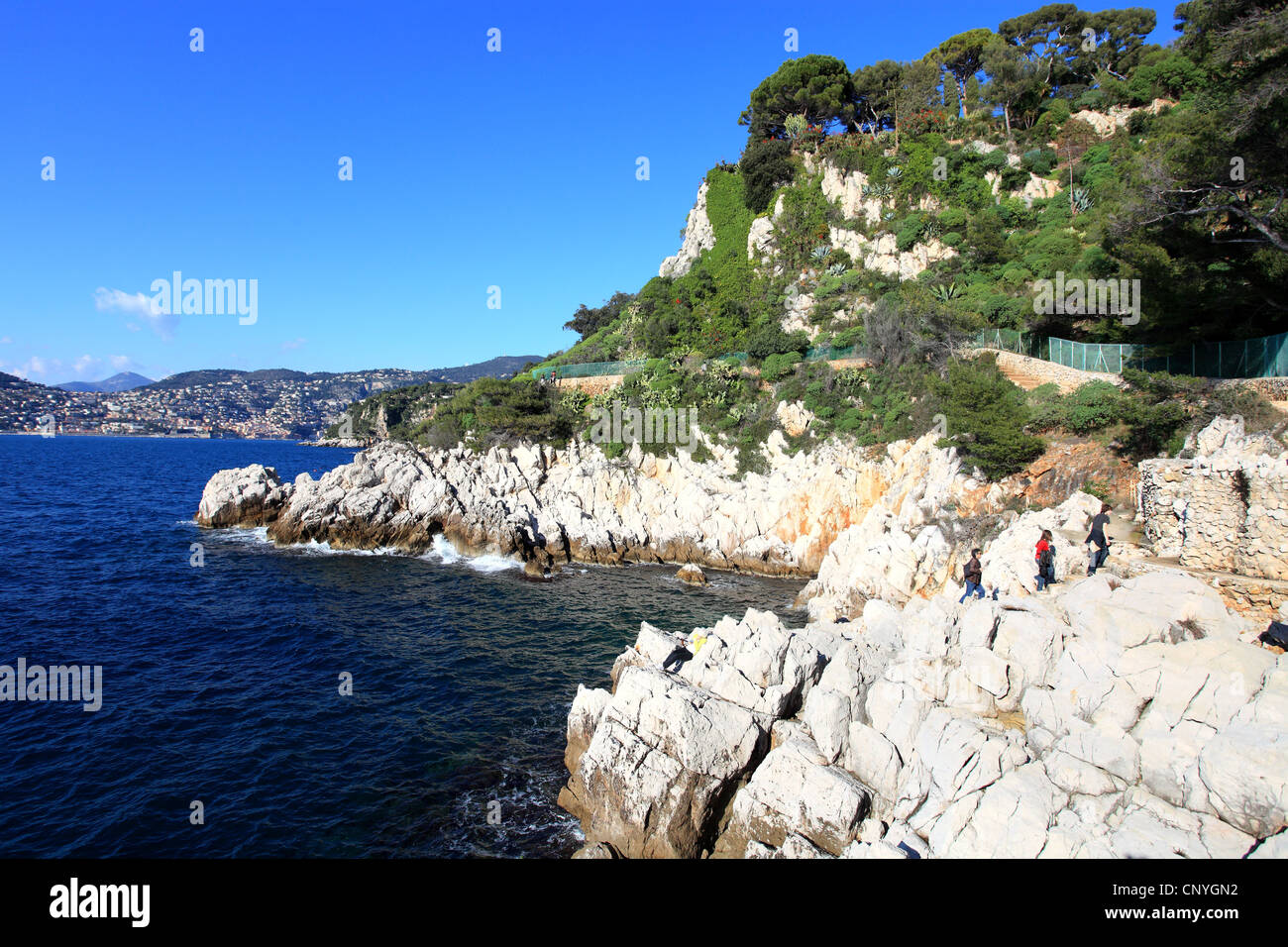 Natural trail along the Cap Ferrat with Mediterranean vegetation Stock ...