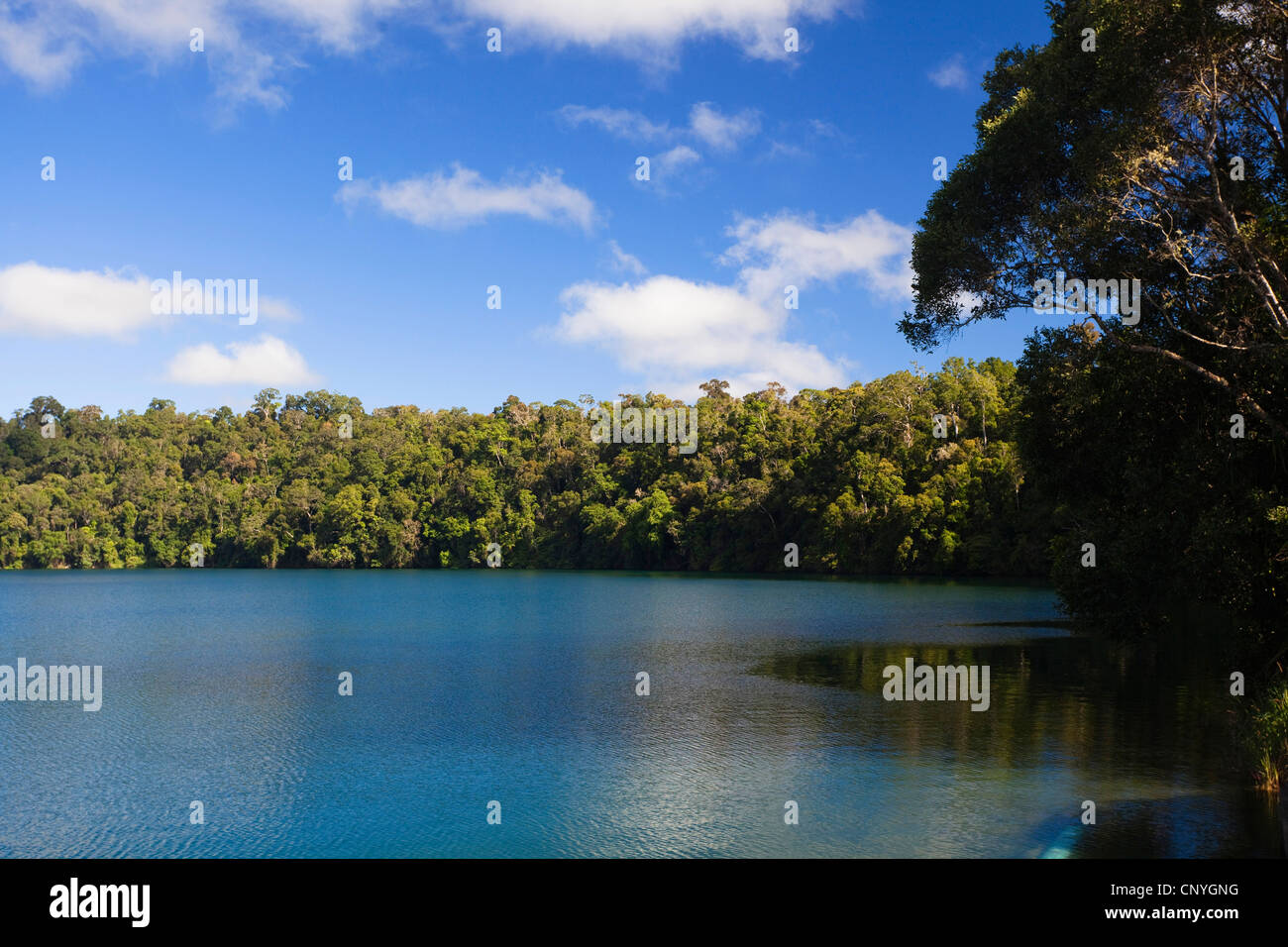 Lake Eacham, Australia, Queensland, Atherton Tablelands, Crater Lakes ...