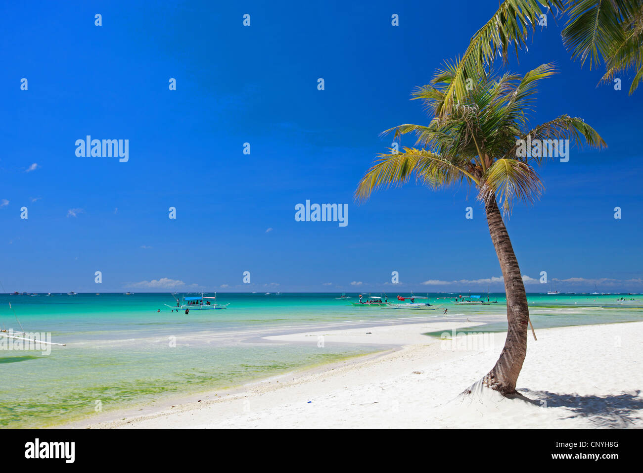 Boracay palm trees hi-res stock photography and images - Alamy