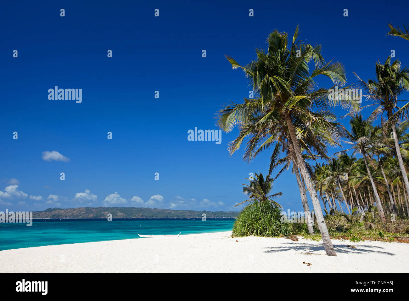 palm trees at exotic beach, Philippines Stock Photo - Alamy