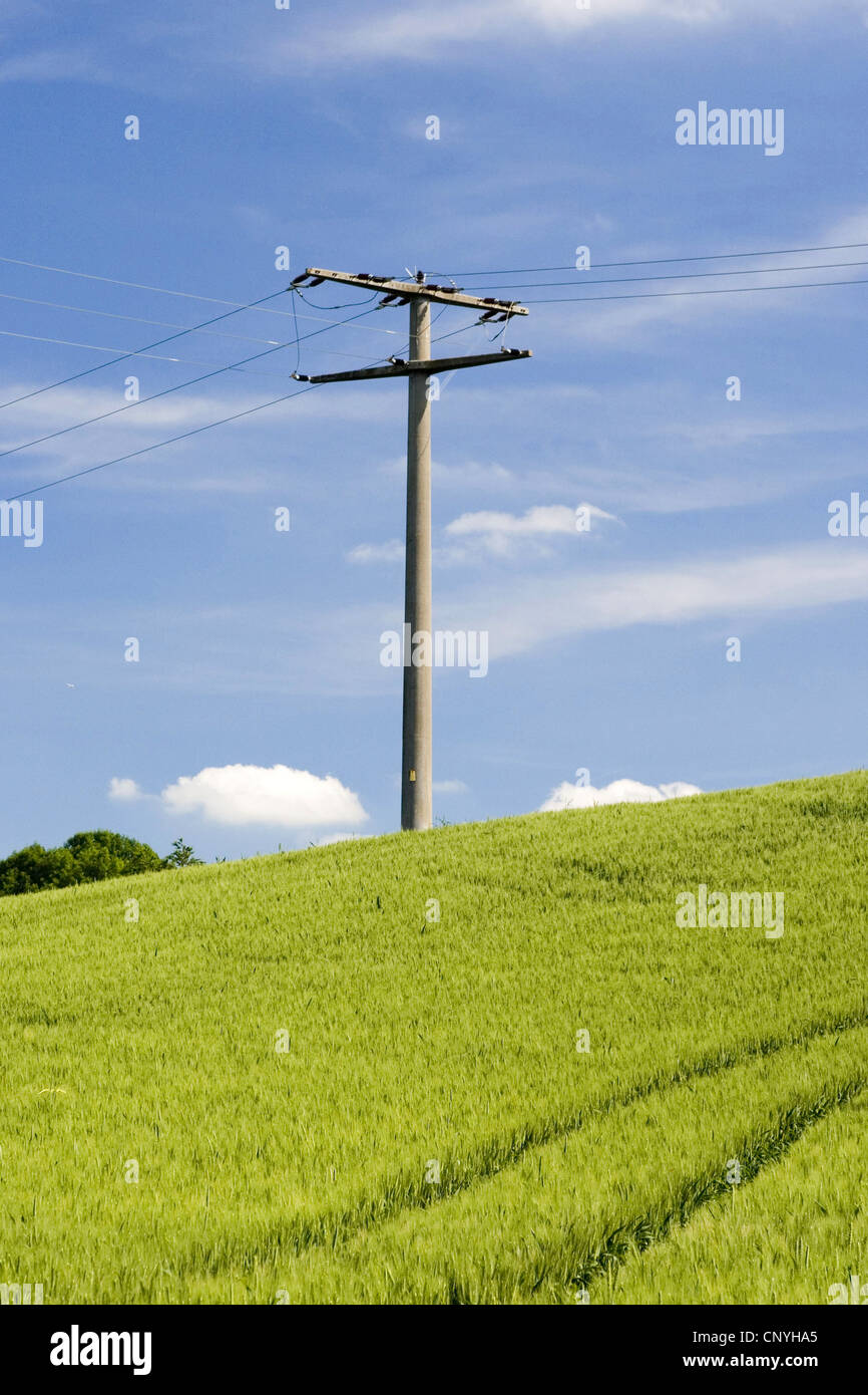 Grain field and power supply hi-res stock photography and images - Alamy