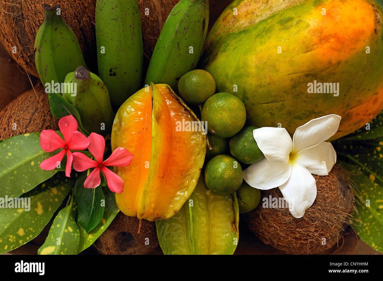 Tropiocal flower hi-res stock photography and images - Alamy