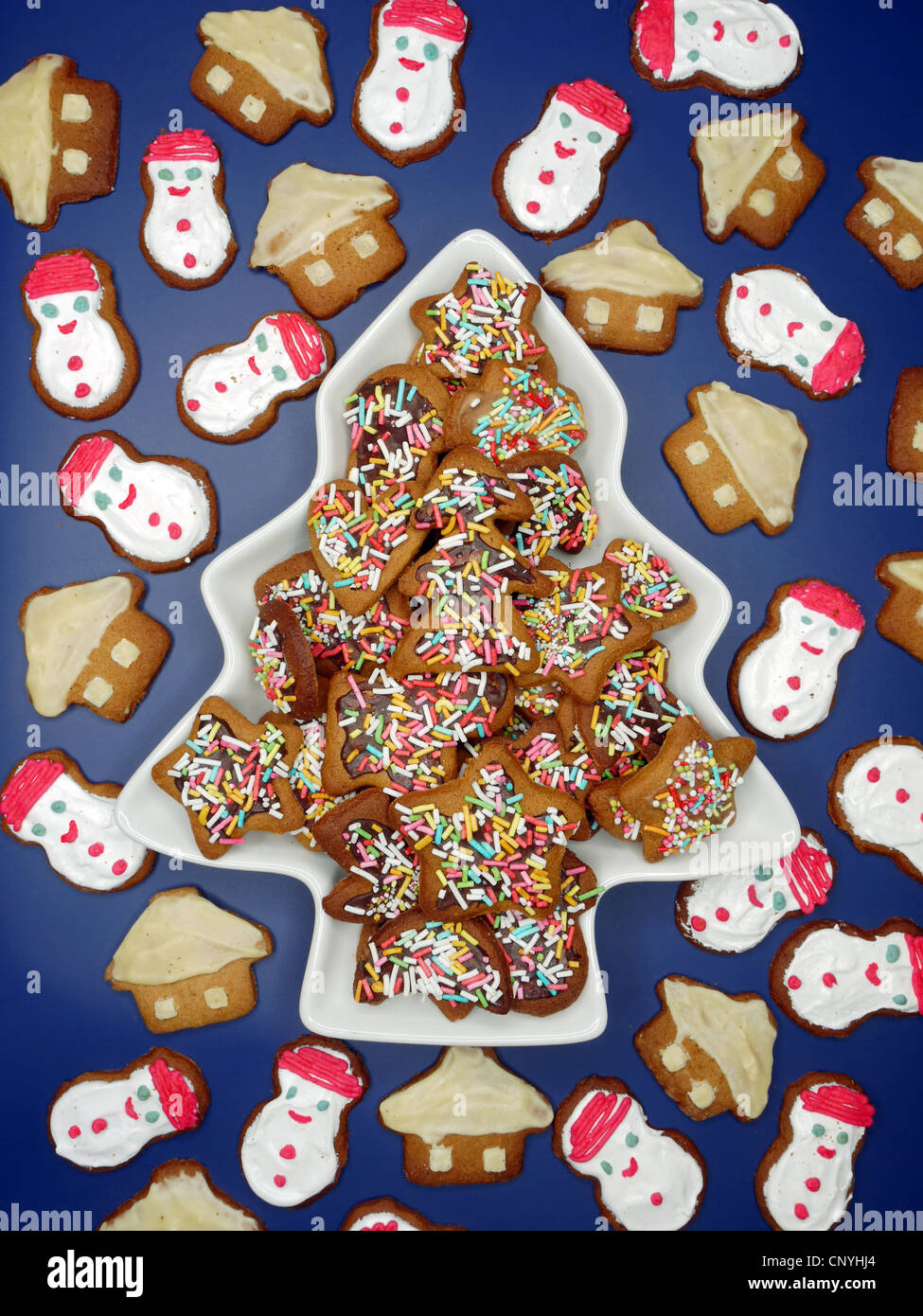 Assorted shapes of gingerbread cookies shot from above over dark blue ...
