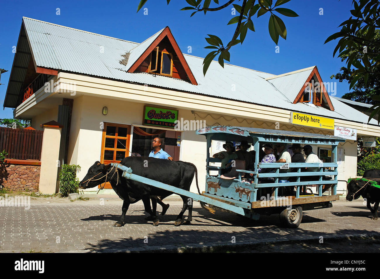 In front of decorated cattle cart hi-res stock photography and images ...