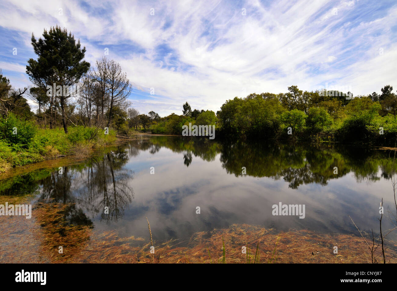 Beautiful lagoon landscape with a cloudy sky Stock Photo - Alamy