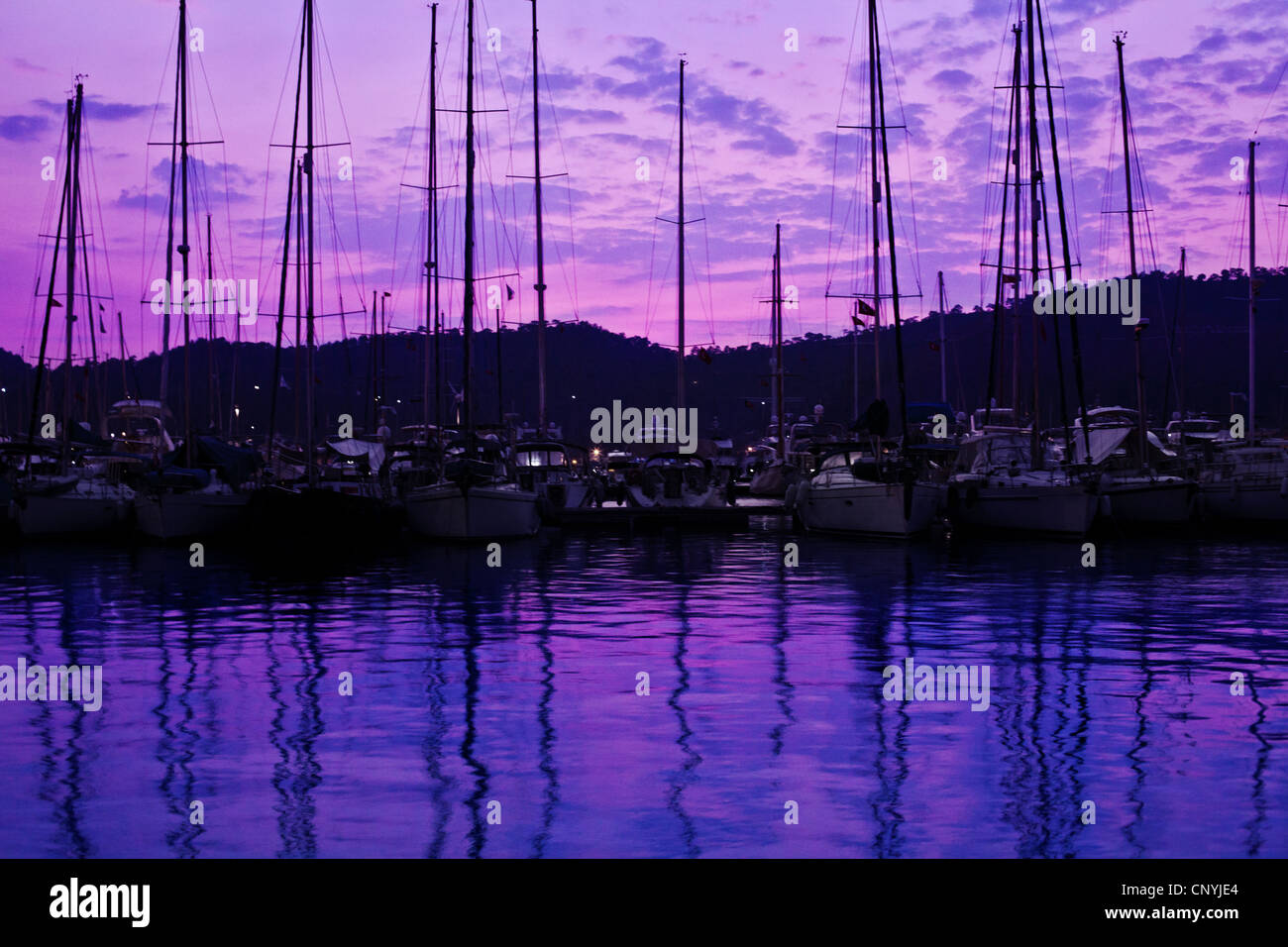 Yacht port over purple sunset with row of luxury sailboats Stock Photo ...