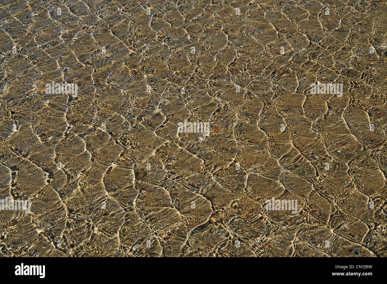 structure of waves in clear shallow water, Netherlands Stock Photo - Alamy