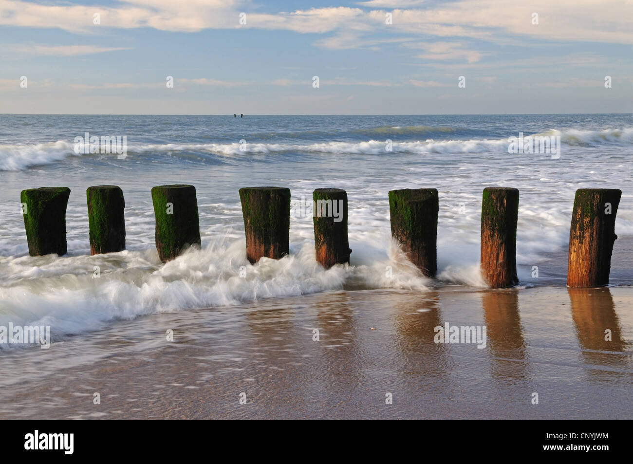 Timber on beach hi-res stock photography and images - Alamy