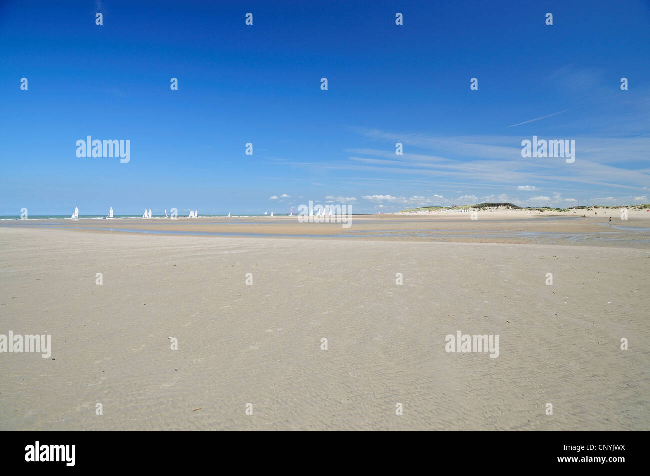 vast sandy beach, Netherlands, Cadzand Stock Photo - Alamy