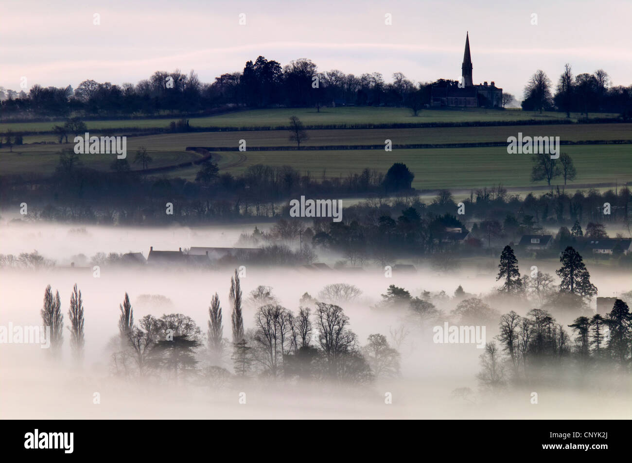 Misty morning Somerset Levels, Somerset, England UK Stock Photo - Alamy