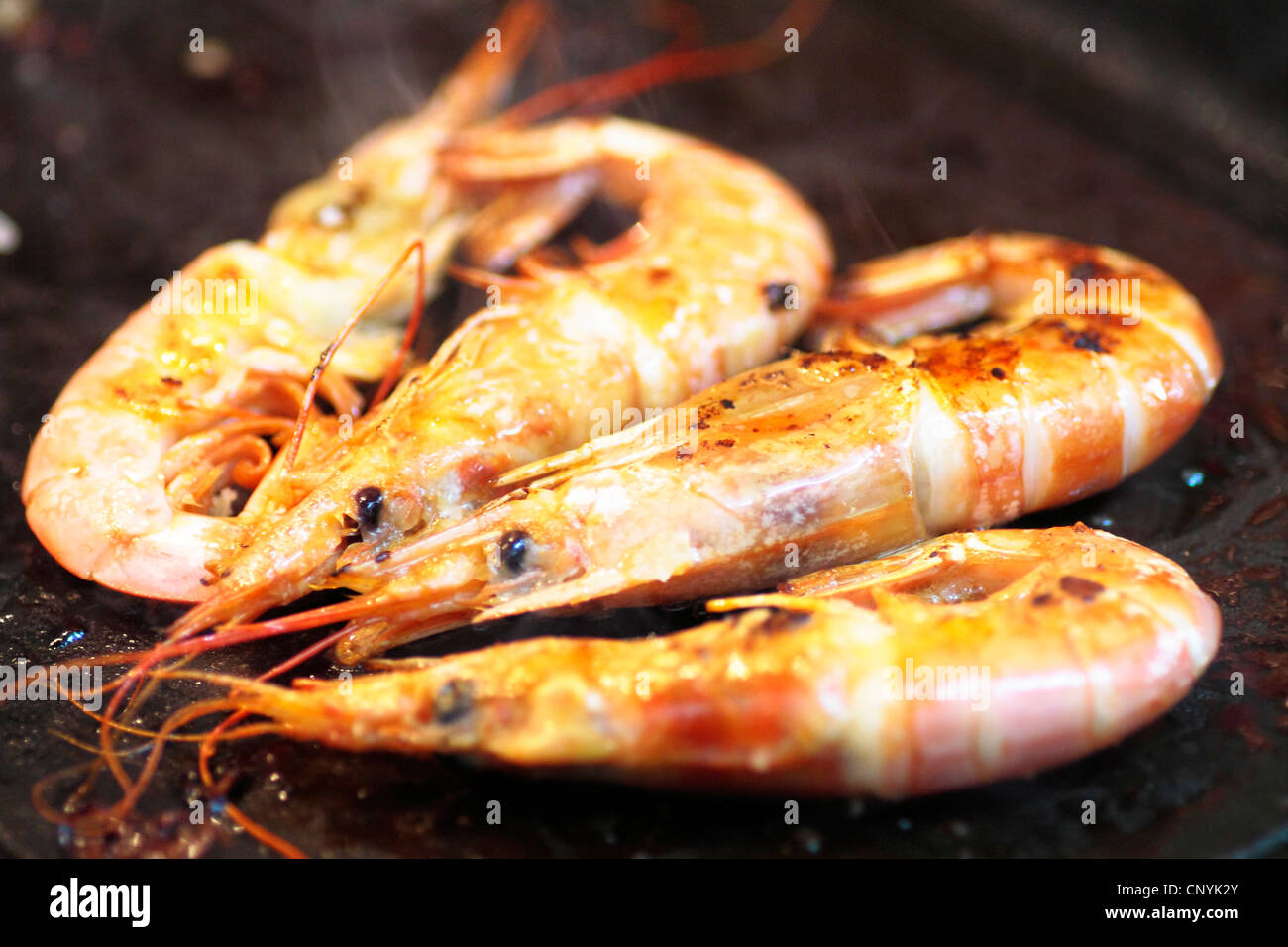 Crustacean hi-res stock photography and images - Alamy