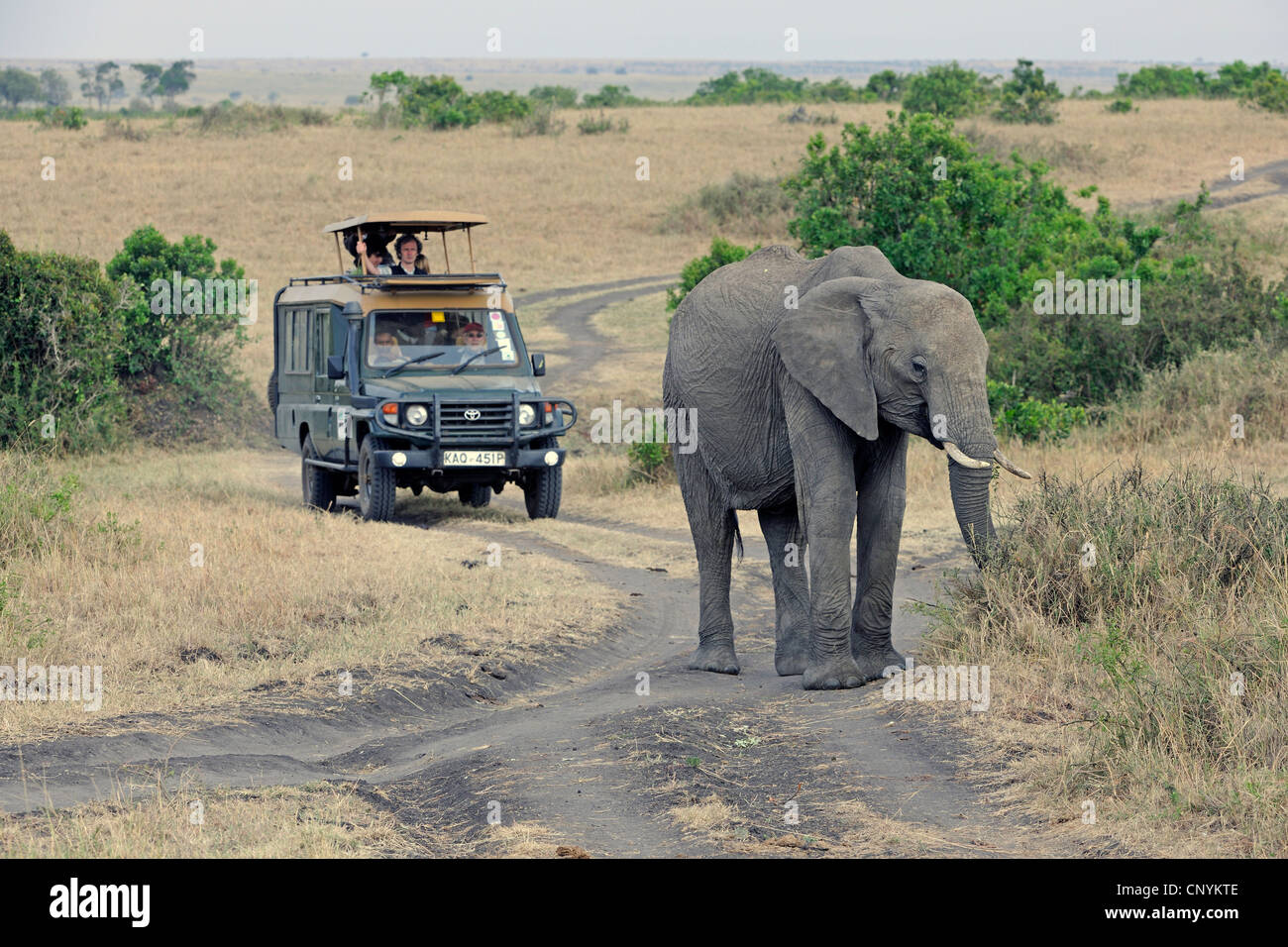 African parks vehicles hi-res stock photography and images - Alamy