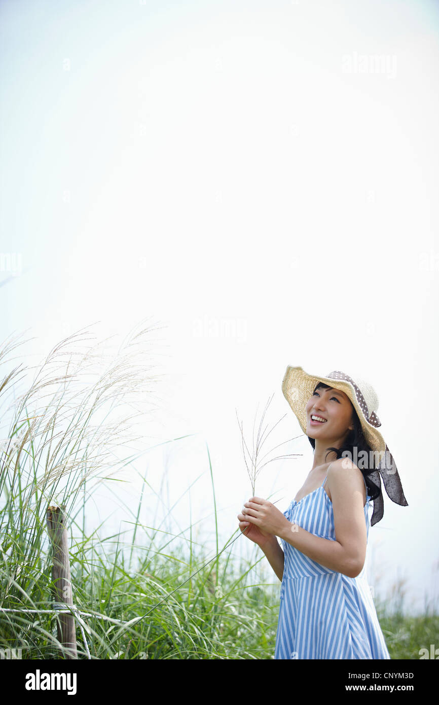 Reed filed hi-res stock photography and images - Alamy