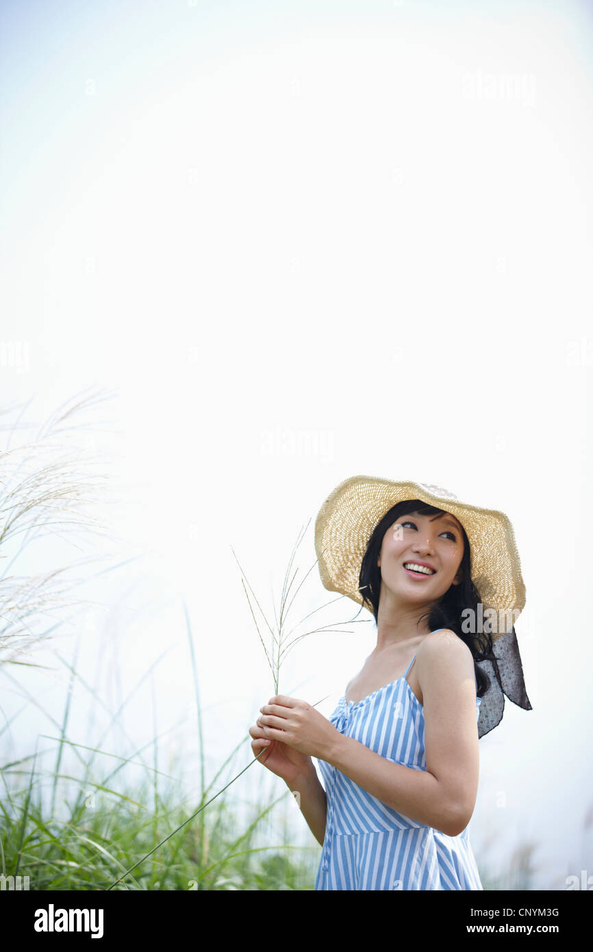 Reed filed hi-res stock photography and images - Alamy