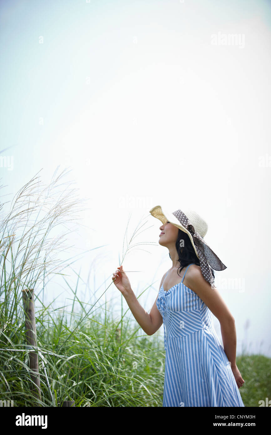 Reed filed hi-res stock photography and images - Alamy