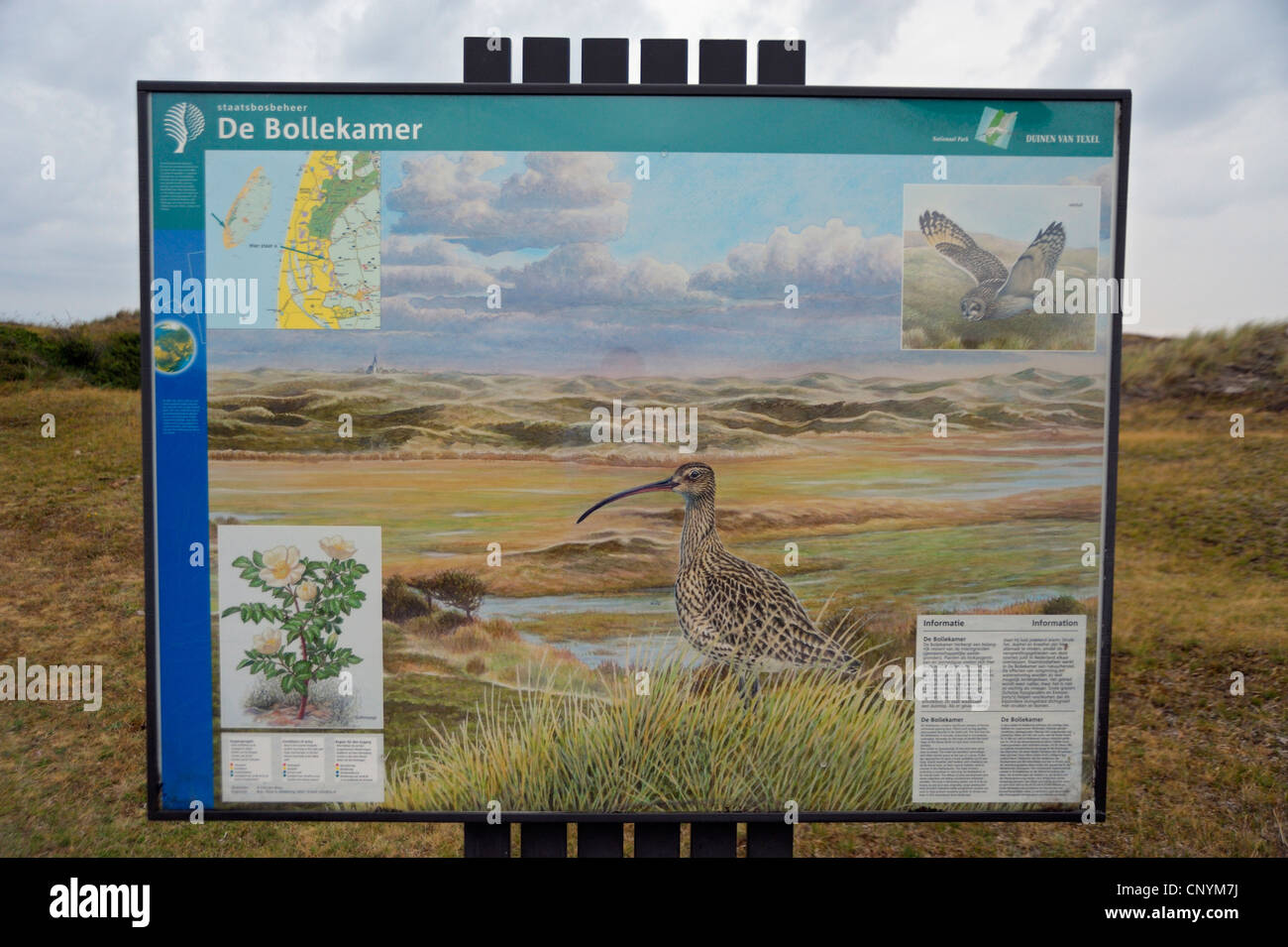 Information signs in park sea hi-res stock photography and images - Alamy