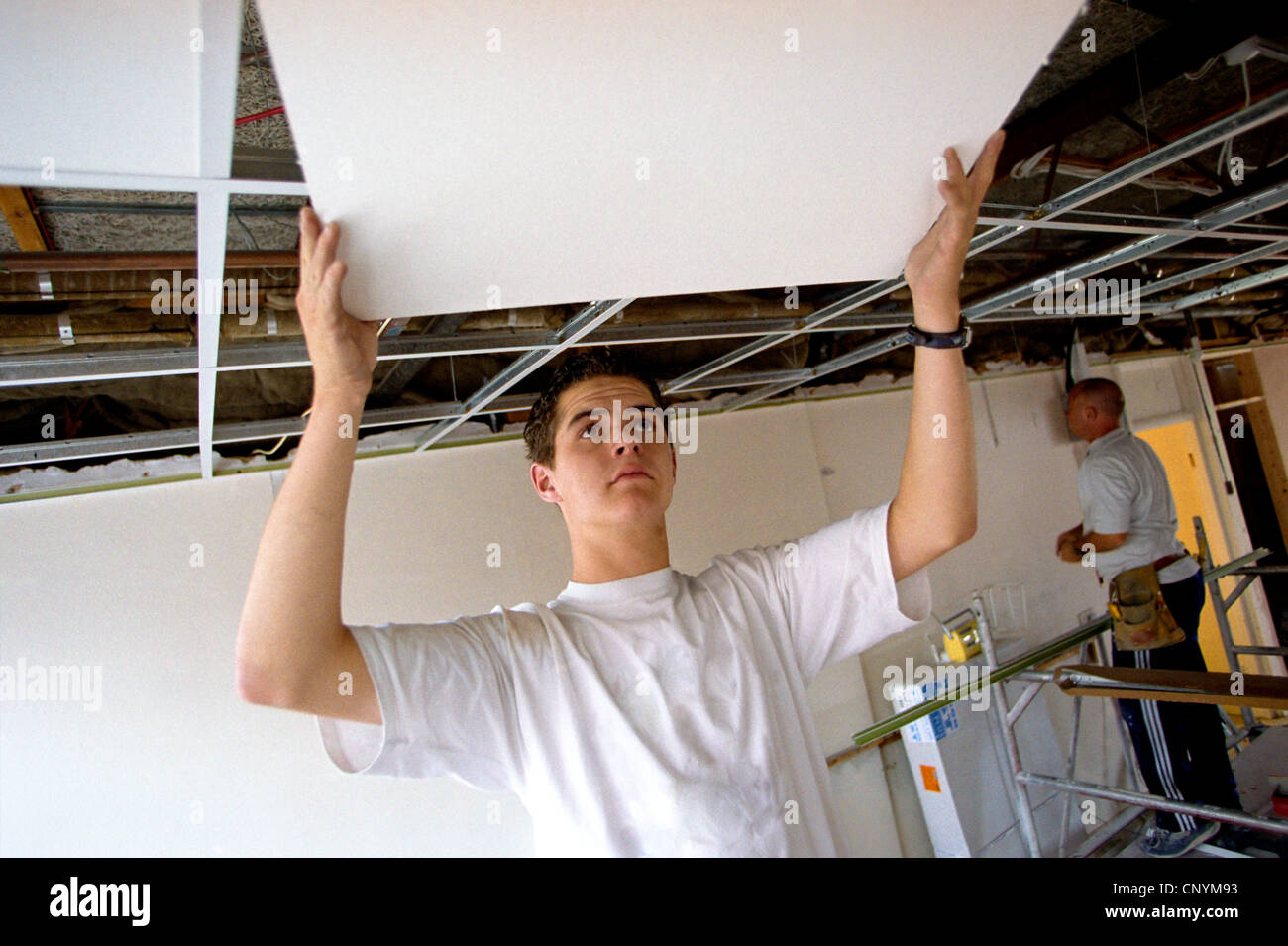 Young builder fixing ceiling Stock Photo - Alamy