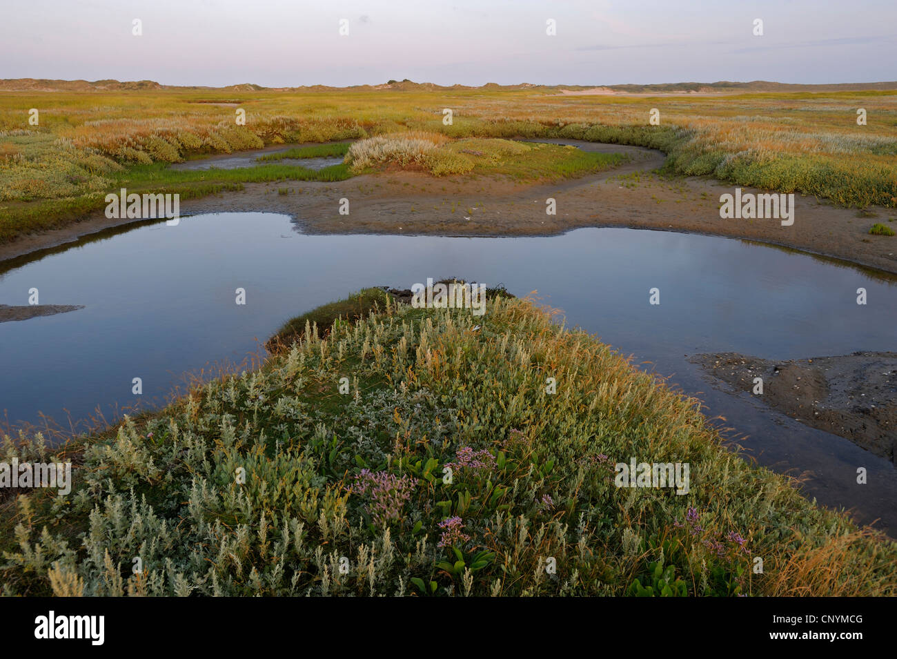 Courses hi-res stock photography and images - Alamy Courses hi-res stock photography and images - Alamy
