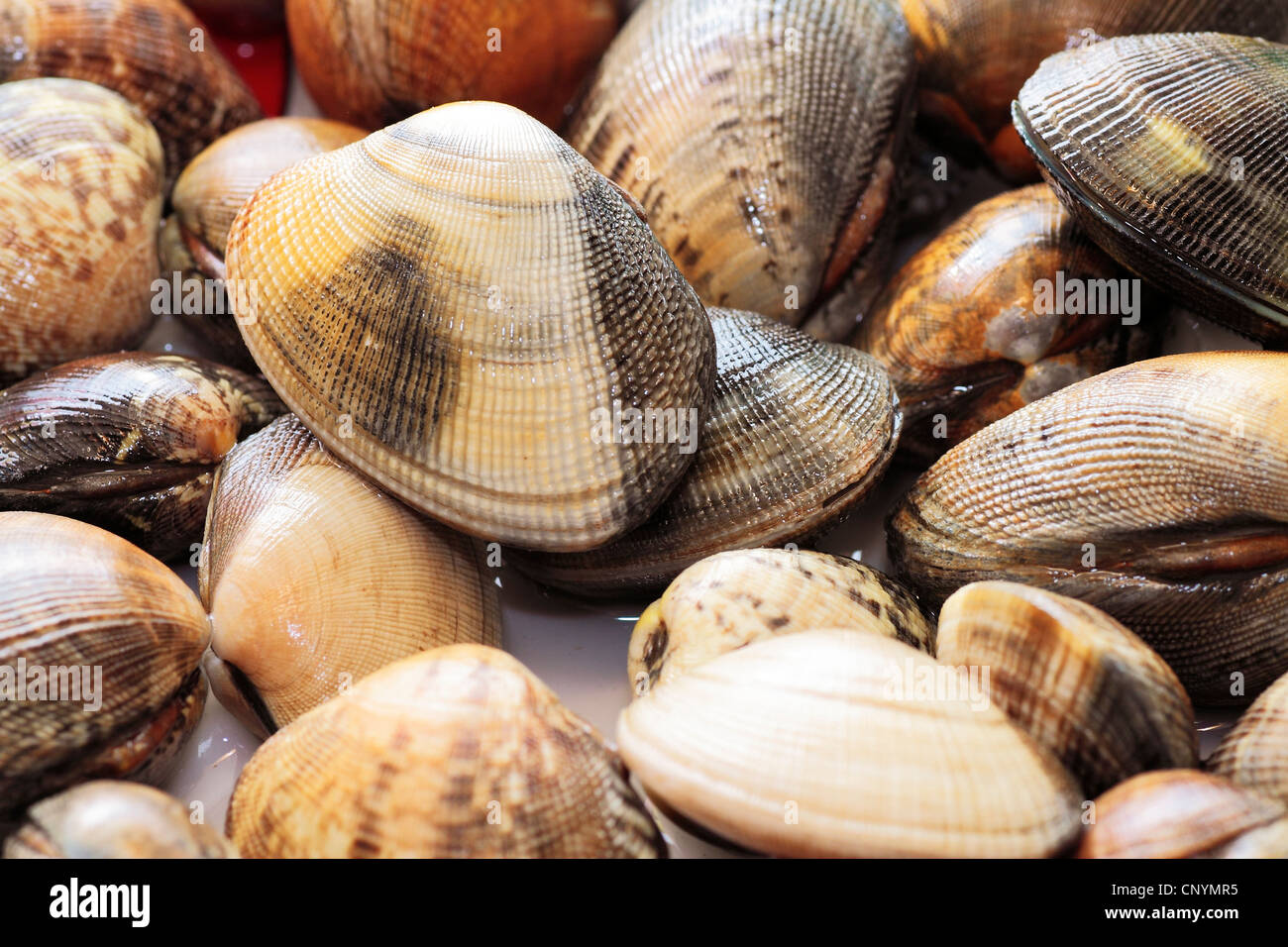 seafood, food, shellfish, healthy, nutrition, fresh, cooked, cuisine ...