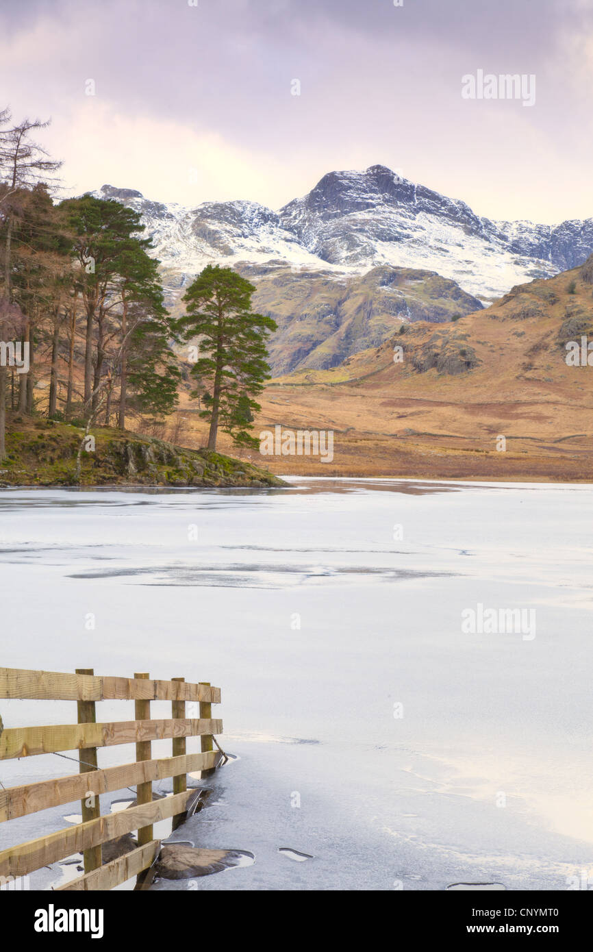 Ice and frozen lakes in uk hi-res stock photography and images - Alamy