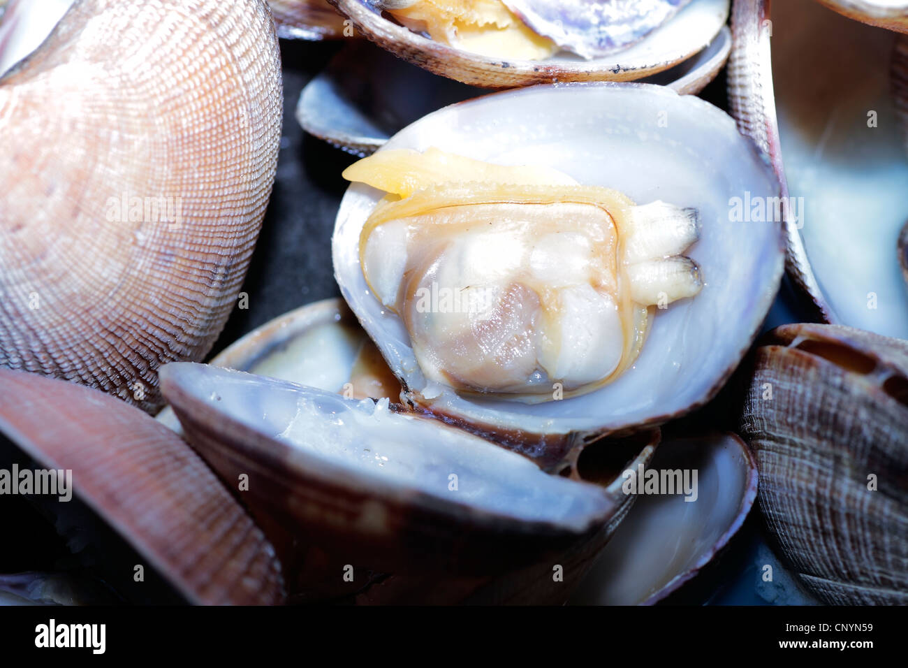 seafood, food, shellfish, healthy, nutrition, fresh, cooked, cuisine ...