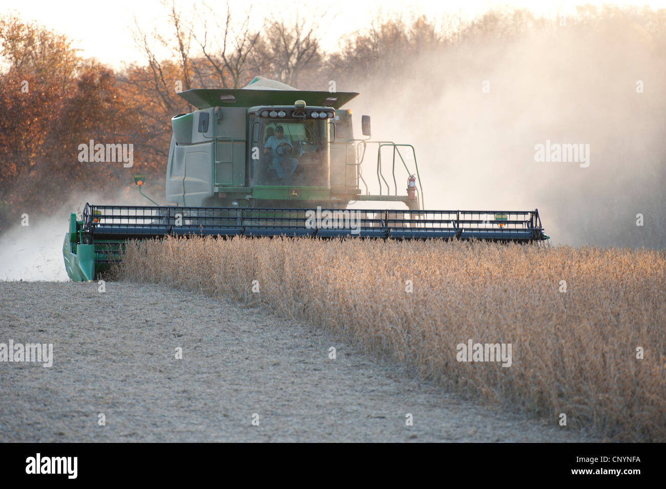Combine harvests grain row by row Stock Photo - Alamy
