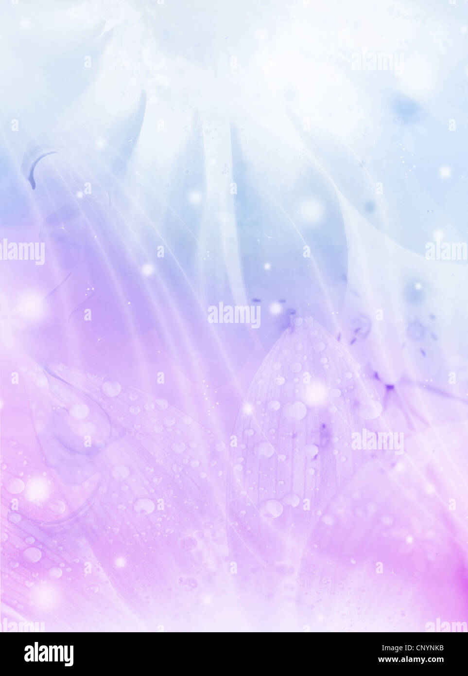 Collage Flowers High Resolution Stock Photography and Images - Alamy