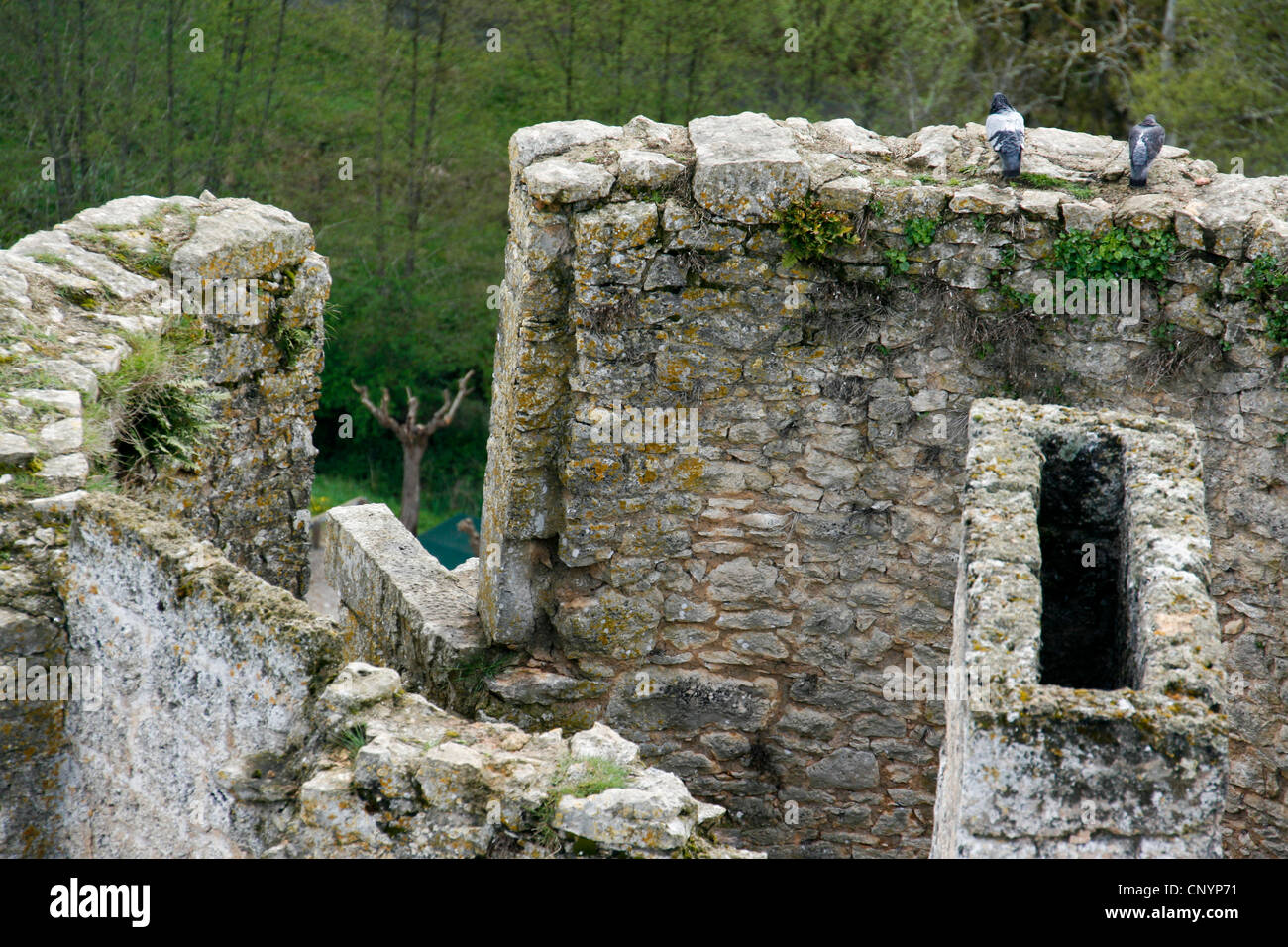 in 1973 during the French Revolution a law ordered the levelling of the ...