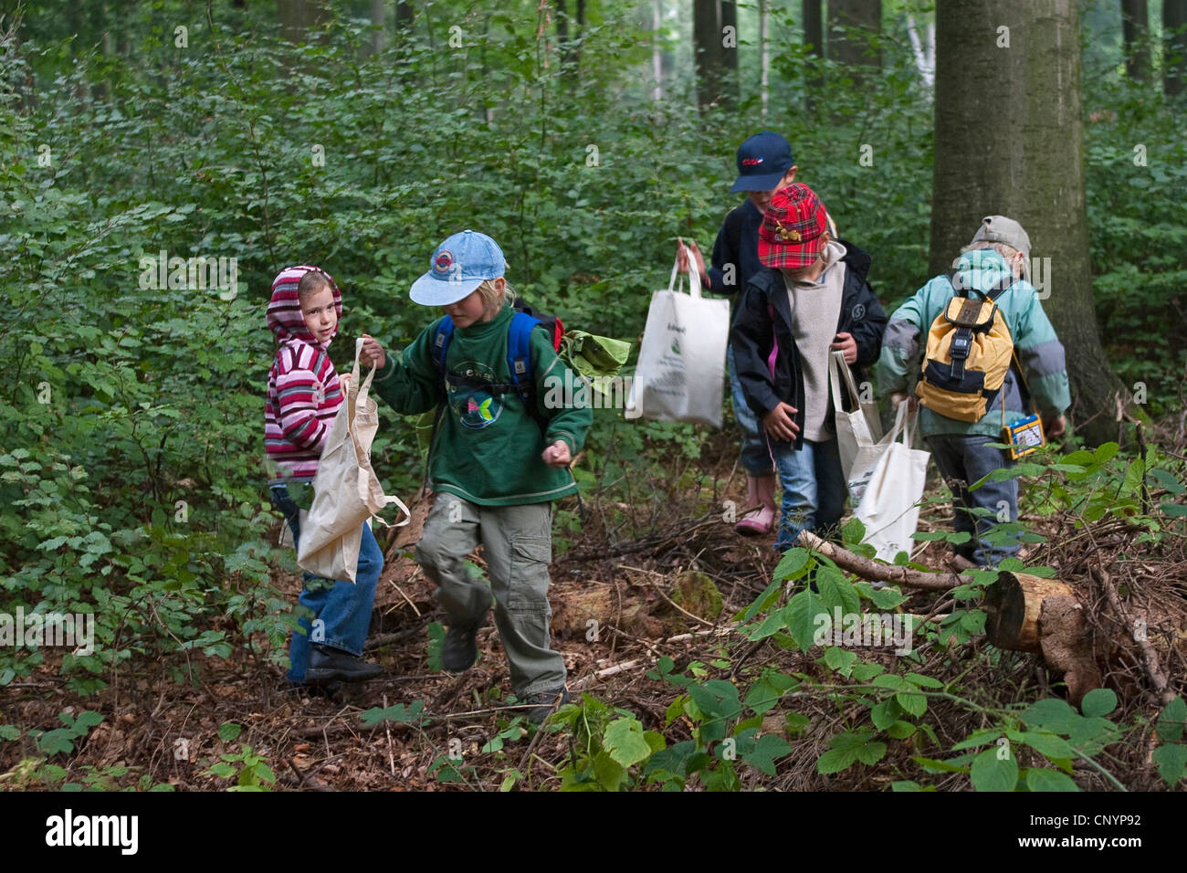 schoolchildren at a forest excursion, Germany Stock Photo - Alamy
