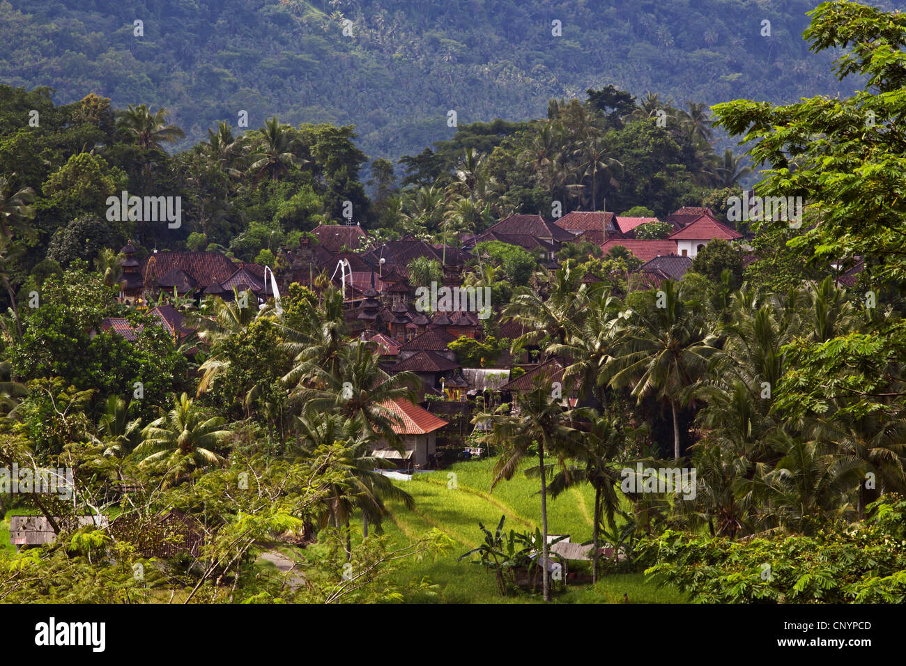 Village And Fields And Woods High Resolution Stock Photography and ...