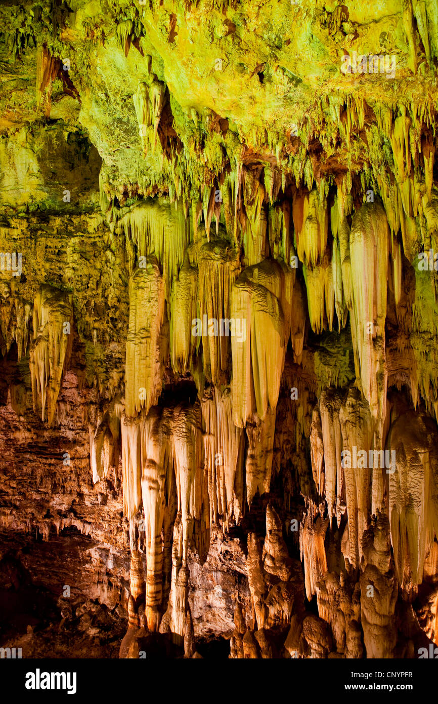 Wonder Cave, Kromdraai, Cradle of Humankind, Gauteng, South Africa ...