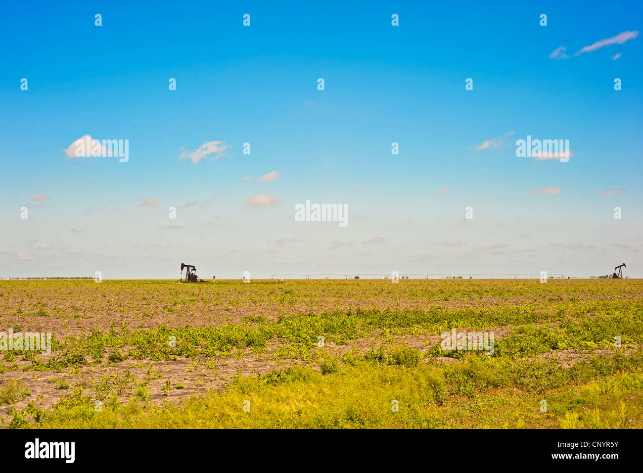 Agricultural field with natural gas pumps in Texas Stock Photo - Alamy
