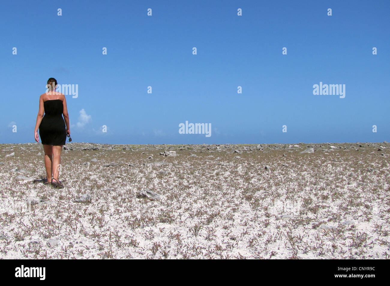 Our happy time on a tropical island Stock Photo - Alamy