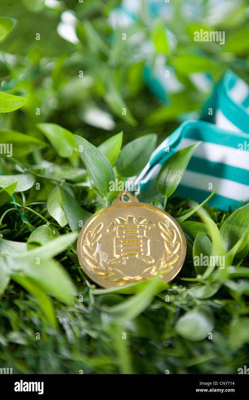 The golden prize medal on the grass Stock Photo - Alamy