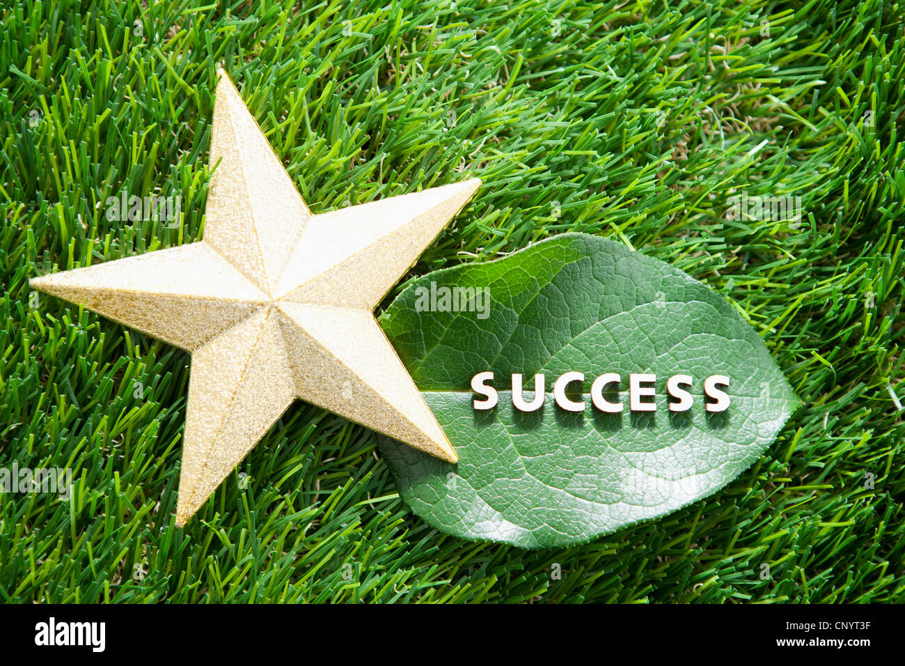 The gold star and 'SUCCESS' on the green leaf Stock Photo - Alamy
